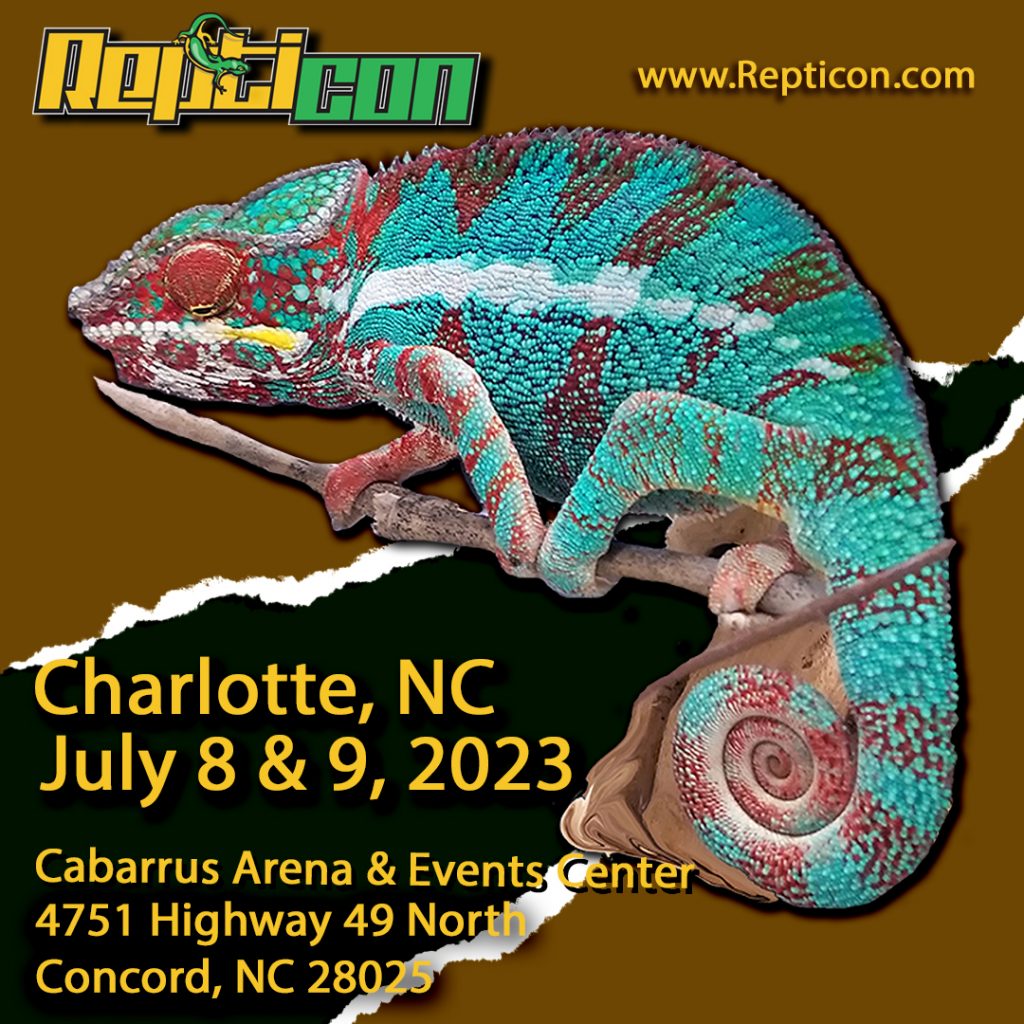 Charlotte