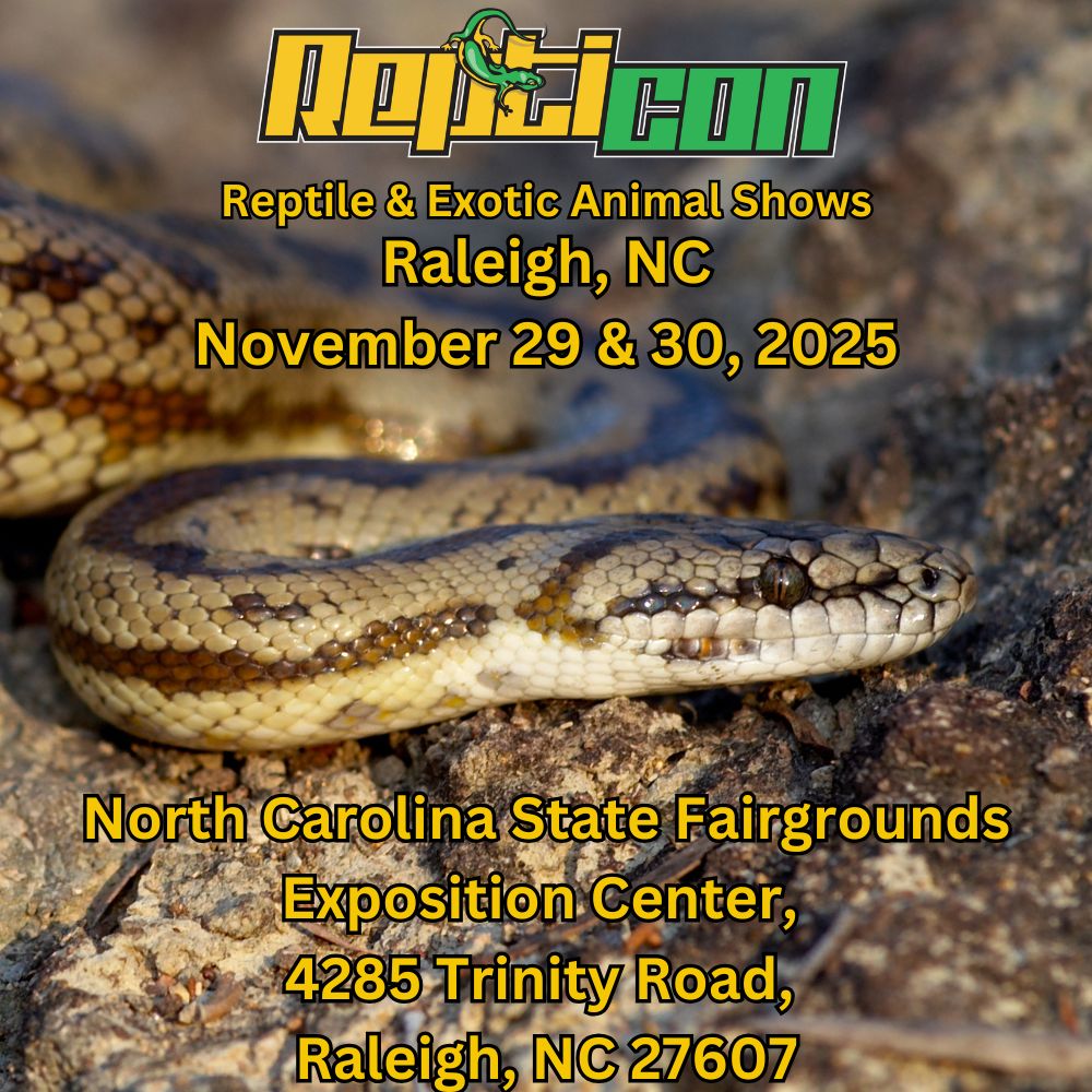 Raleigh