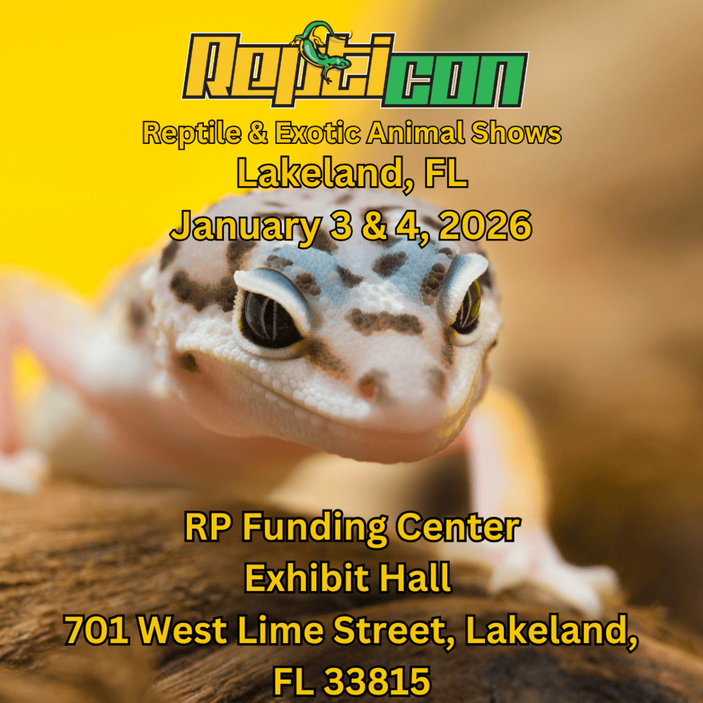 Lakeland, FL